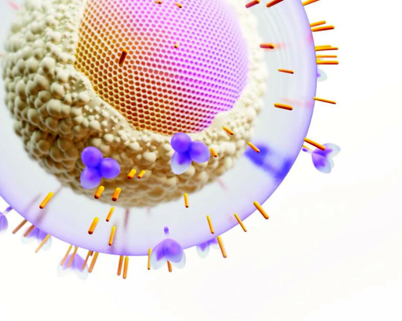 TH HSV REC-003 | Institute of Tropical Medicine