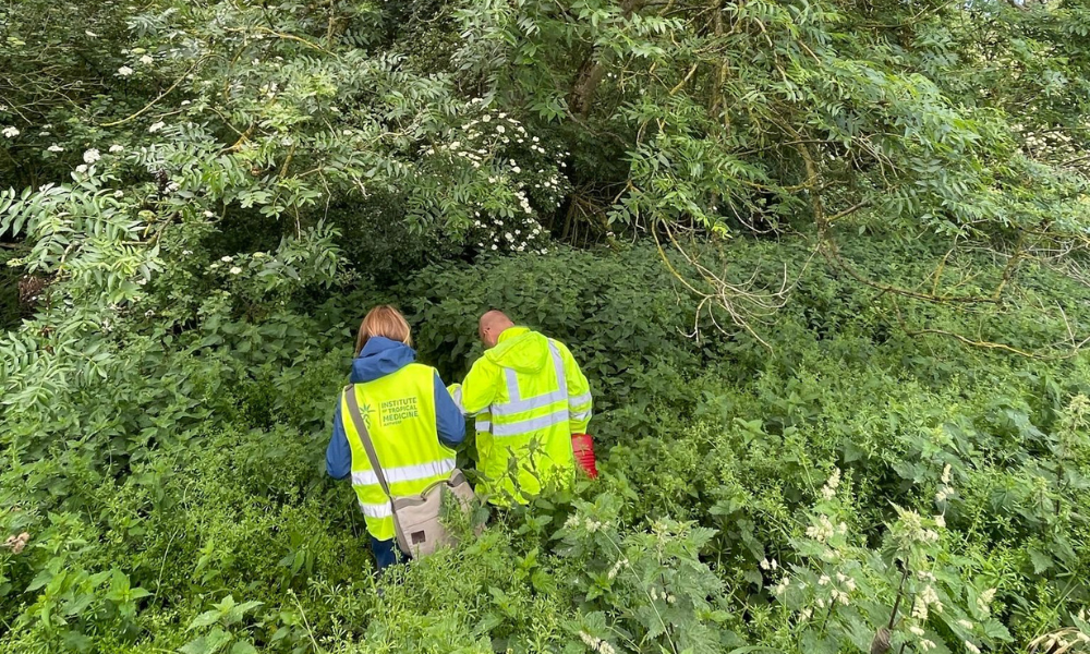 Tiger mosquito detection doubles in Belgium | Institute of Tropical ...