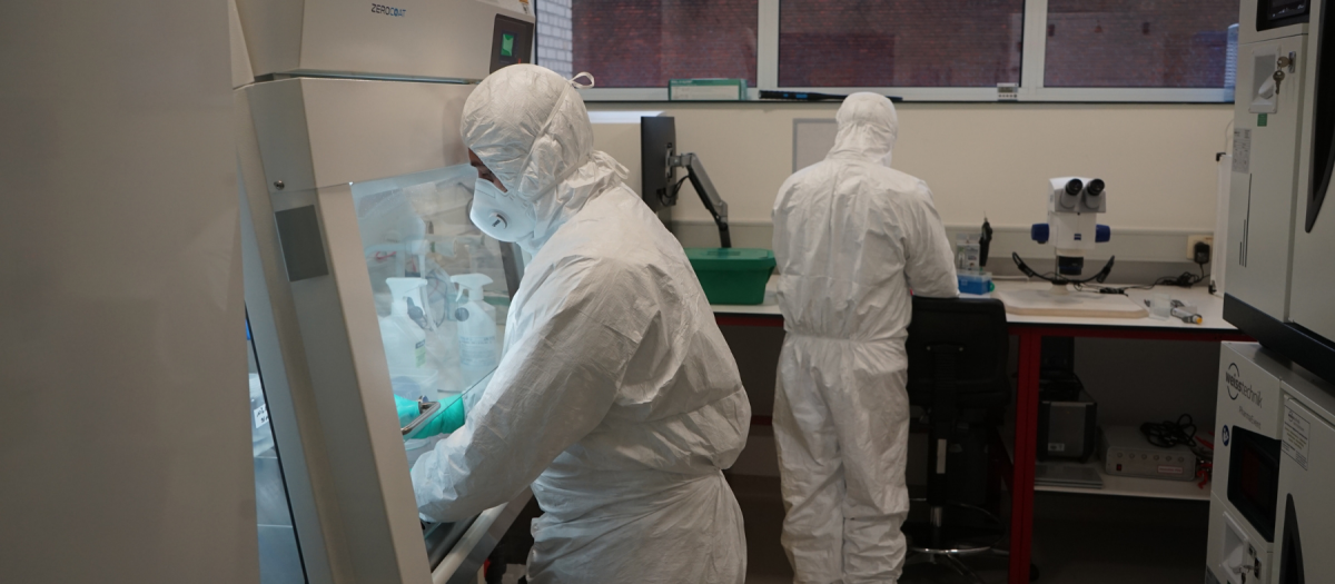ITM opens high-security insectary | Institute of Tropical Medicine