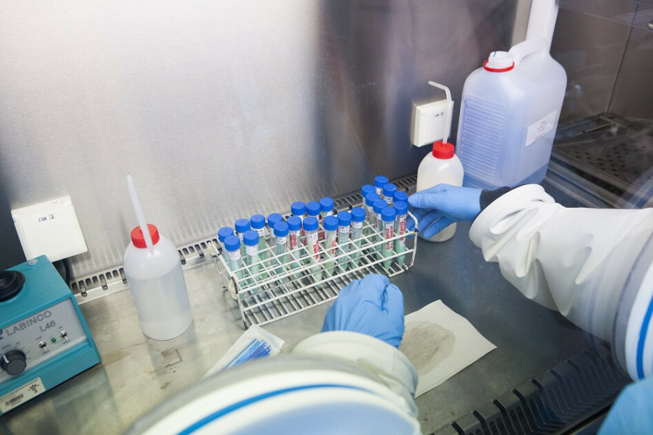 Administrator of the world’s largest collection of TB strains ...